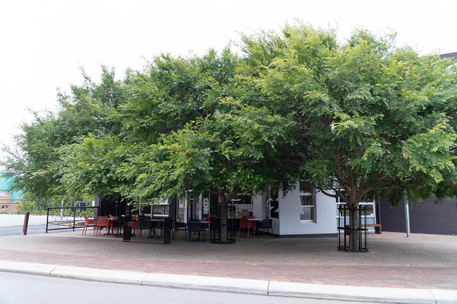The Naked Bean Coffee Roasters